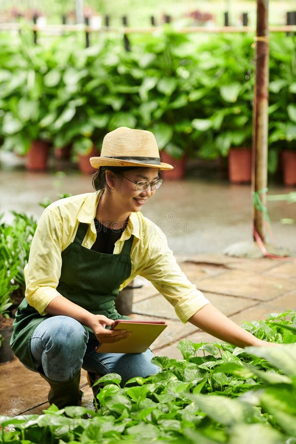 Woman Checking Plants in Flower Shop Stock Photo - Image of woman ...