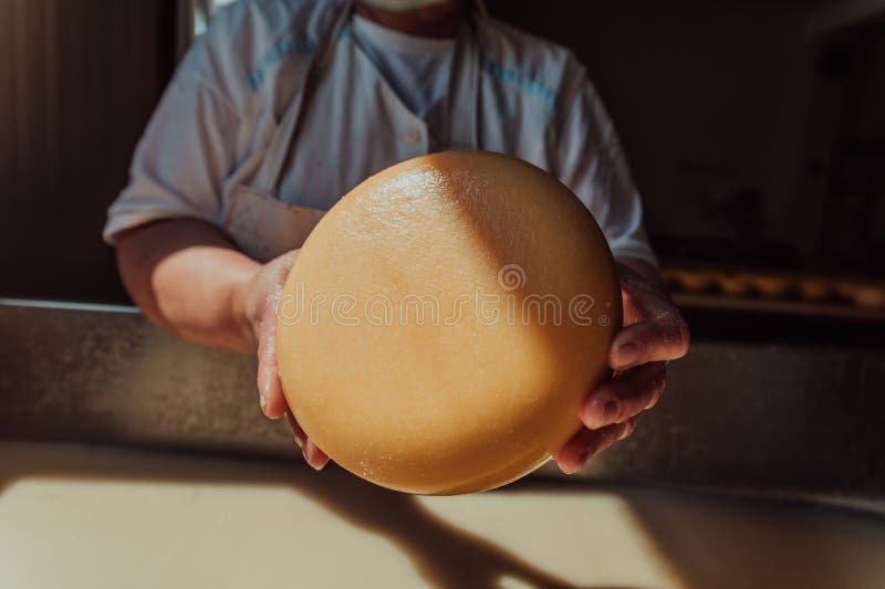 A Woman in the Cheese Industry. Woman Preparing Cheese for Further ...