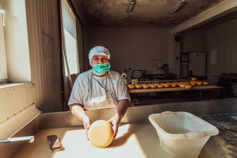 A Woman in the Cheese Industry. Woman Preparing Cheese for Further ...