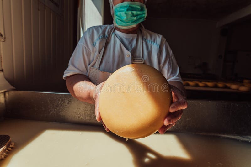 A Woman in the Cheese Industry. Woman Preparing Cheese for Further ...