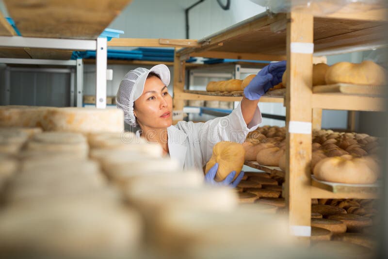Woman Cheesemaker Checking Aging Process of Cheese in Maturing Chamber ...