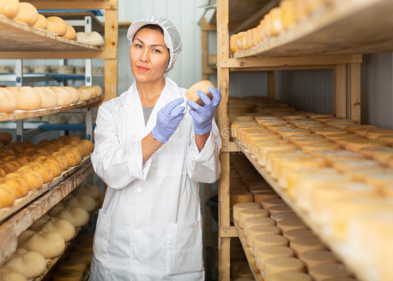 Woman Cheesemaker Checking Aging Process of Cheese in Maturing Chamber ...