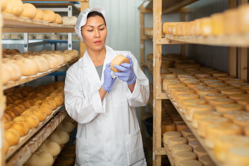 Woman Cheesemaker Checking Aging Process of Cheese in Maturing Chamber ...