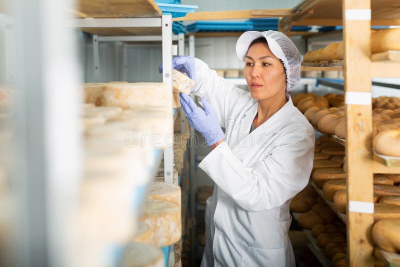 Woman Cheesemaker Checking Aging Process of Cheese in Maturing Chamber ...