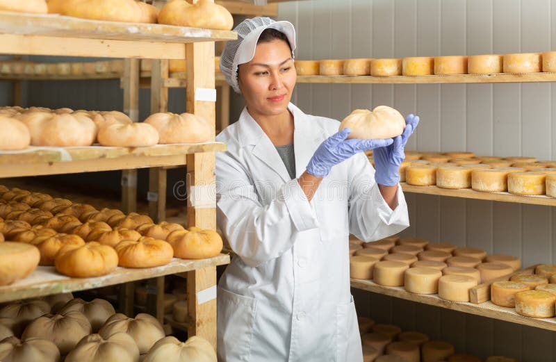 Woman Cheesemaker Checking Aging Process of Cheese in Maturing Chamber ...