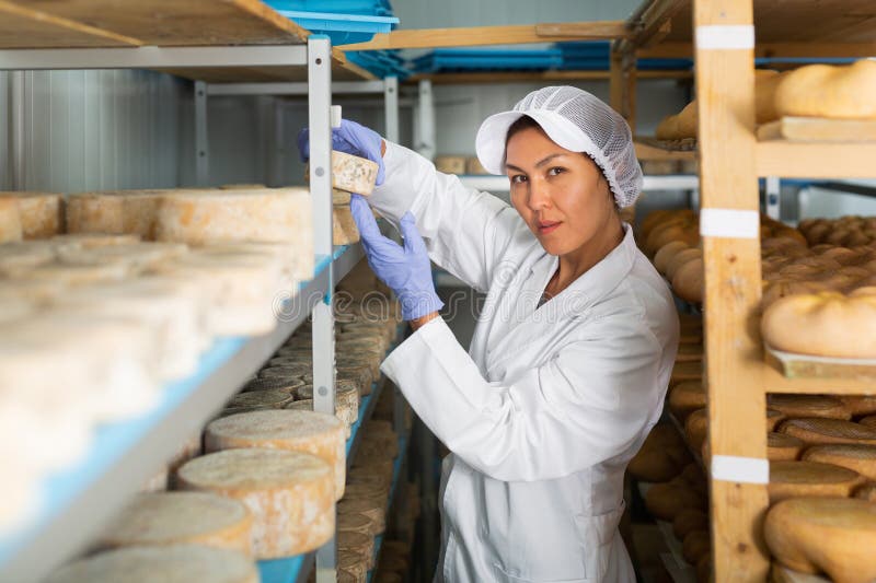 Woman Cheesemaker Checking Aging Process of Cheese in Maturing Chamber ...