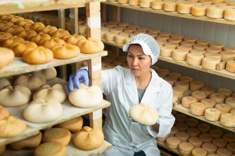Woman Cheesemaker Checking Aging Process of Cheese in Maturing Chamber ...