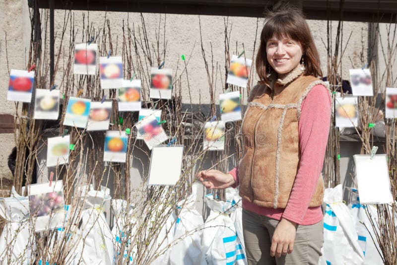 Woman Chooses Trees Sprouts Stock Photo - Image of person, female: 24499848