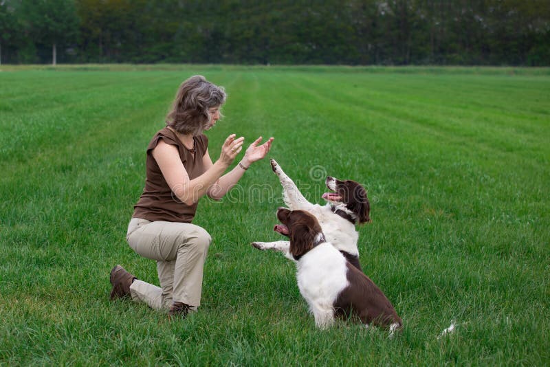 Dogs Clapping Stock Photos - Free & Royalty-Free Stock Photos from ...