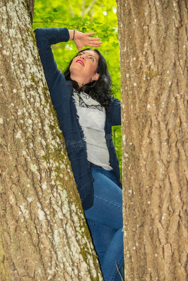 Woman Climber in the Tree Looking Up Stock Photo - Image of joyful ...