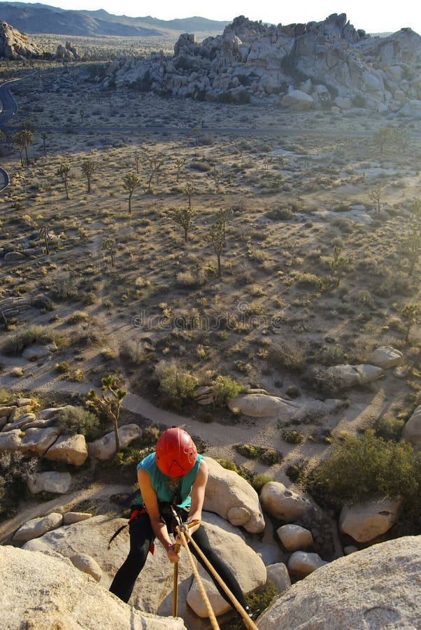 Woman Climbing Joshua Tree stock photo. Image of climber - 26899964