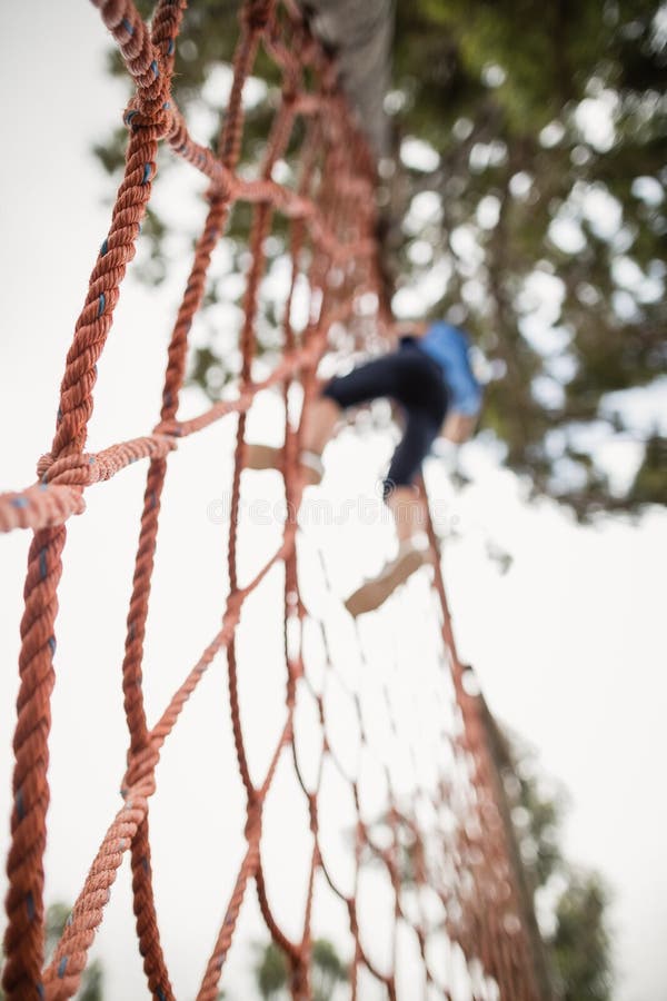 Woman Climbing a Net during Obstacle Course Stock Photo - Image of ...