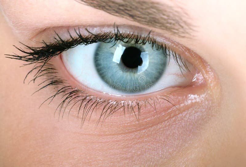 Woman Close-up stock image. Image of fashion, eyes, lifestyles - 7170347