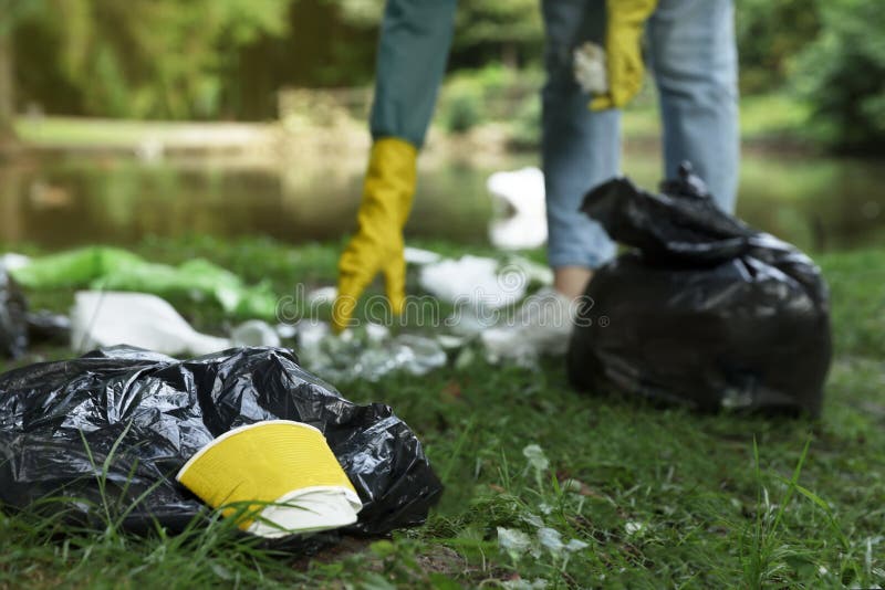 Woman Collecting Garbage in Park, Focus on Paper Cup. Space for Text ...