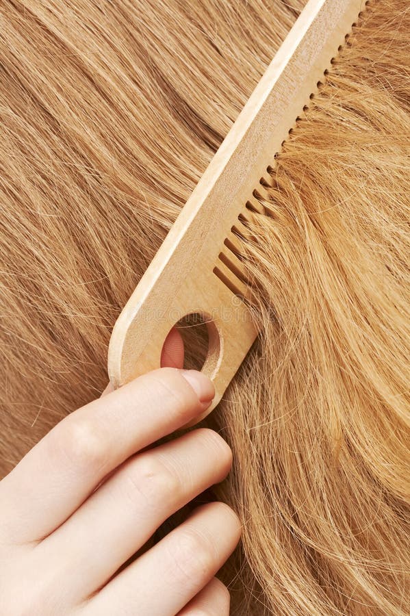 Woman combing hair stock image. Image of blond, closeup - 4370567