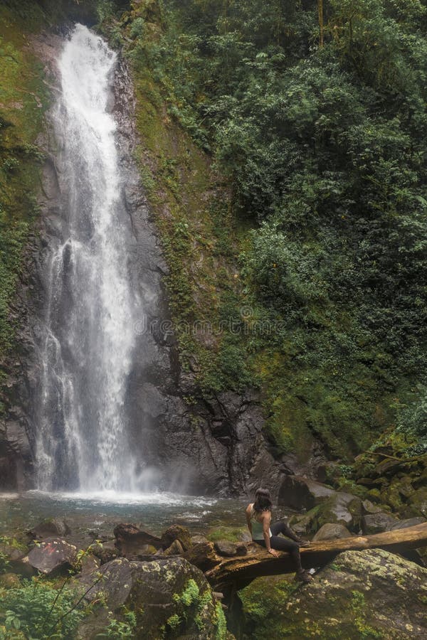 Woman Contemplating a Waterfall in the Middle of the Cloud Forest Stock ...