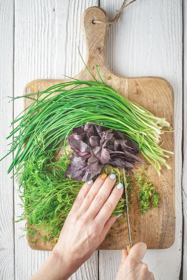Woman Cut Fresh Herbs on a Cutting Board Stock Photo - Image of dill ...