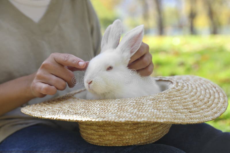 Woman with Cute White Rabbit in Park, Closeup Stock Image - Image of ...