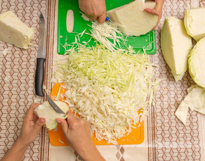 Woman Cutting Cabbage with a Knife in the Kitchen Stock Image - Image ...