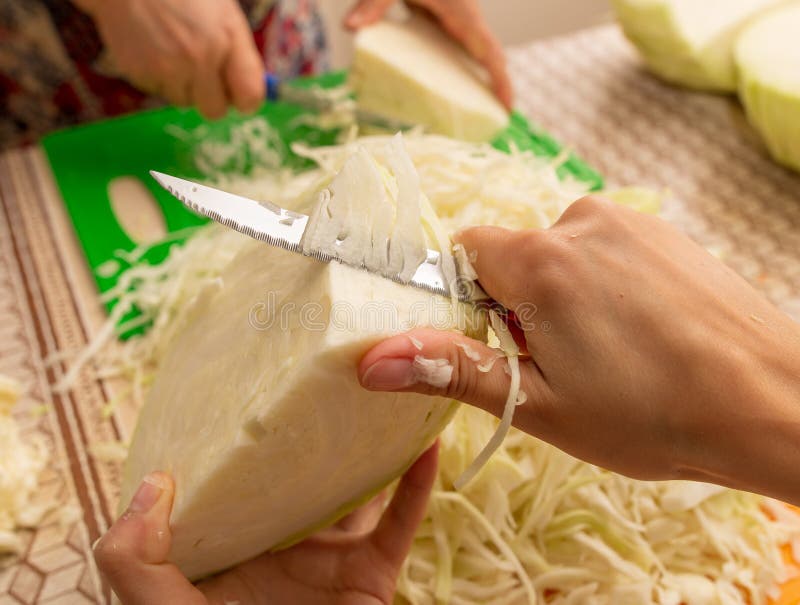 Woman Cutting Cabbage with a Knife in the Kitchen Stock Image - Image ...