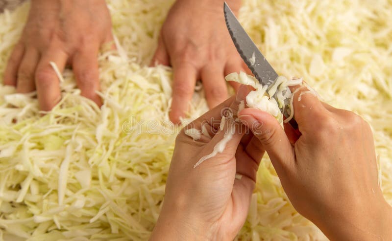 Woman Cutting Cabbage with a Knife in the Kitchen Stock Image - Image ...