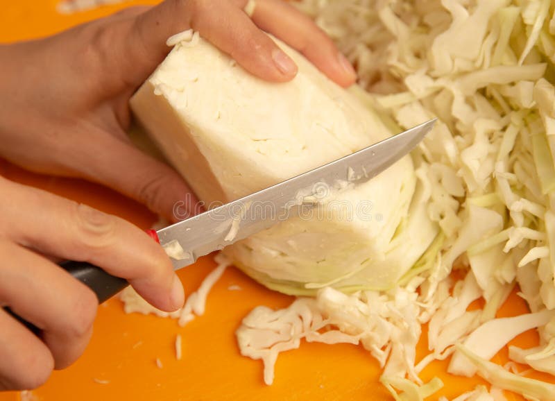 Woman Cutting Cabbage with a Knife in the Kitchen Stock Image - Image ...