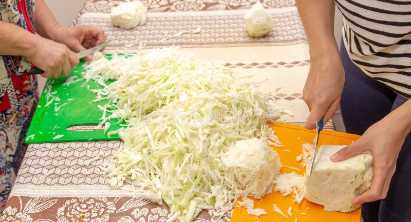 Woman Cutting Cabbage with a Knife in the Kitchen Stock Image - Image ...