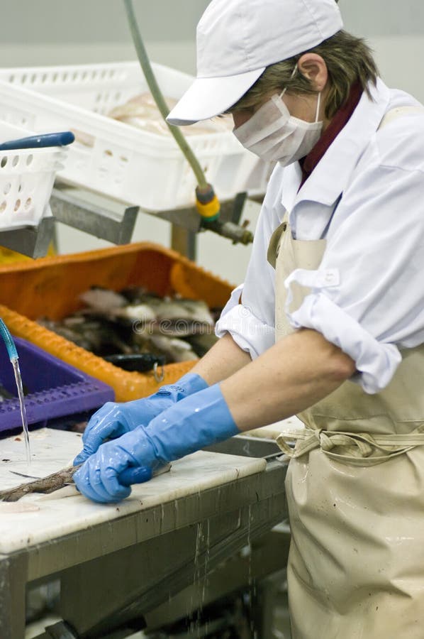 Woman cutting fish fillets stock image. Image of mask - 6772943