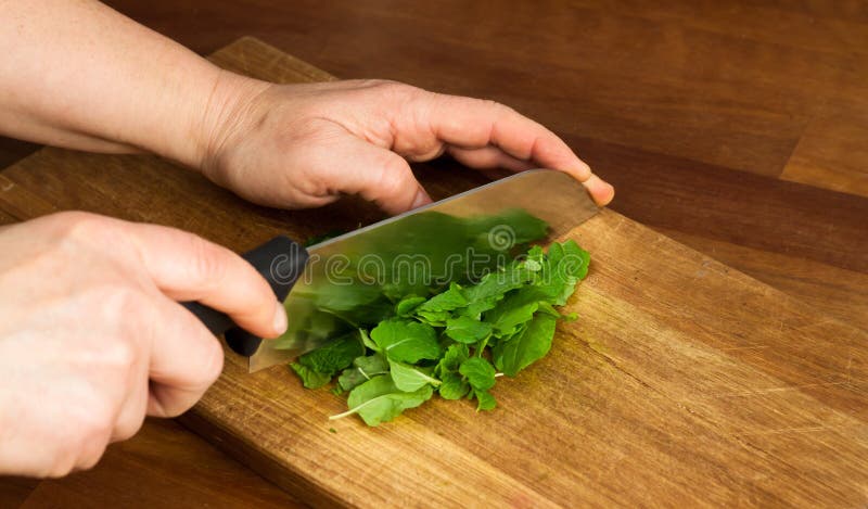 Woman cutting mint leaves stock image. Image of leave - 22832637
