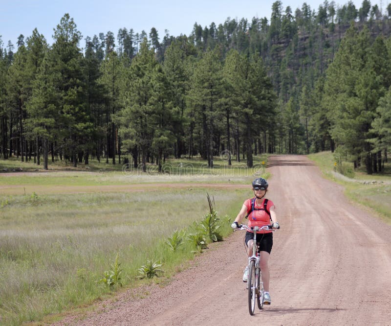 A Woman Cyclist Rides a Forest Road Stock Image - Image of cycling ...