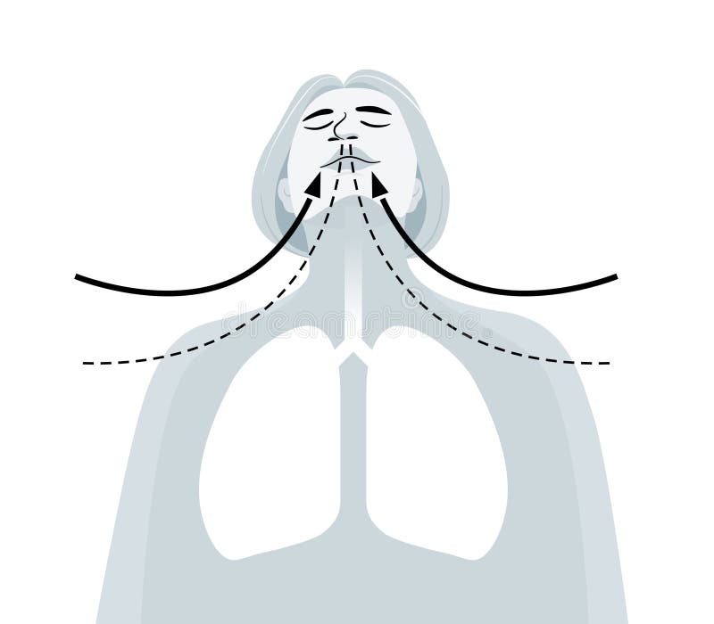 Woman Deep Breathing and Silhouette of Lungs in Flat Vector Illustration. Stock Vector ...