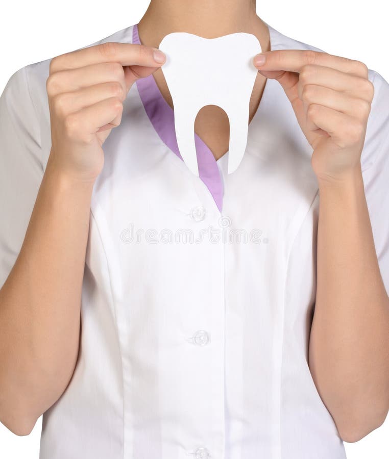 Woman Dentist Holding a White Paper Tooth Stock Photo - Image of care ...
