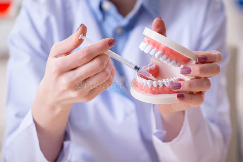 The Dentist Practicing Work on Tooth Model Stock Image - Image of ...