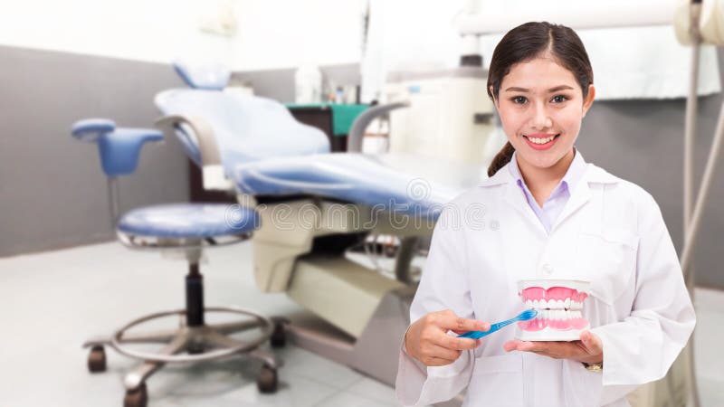 Woman Dentist Show Dental Model Stock Image - Image of research, smile ...