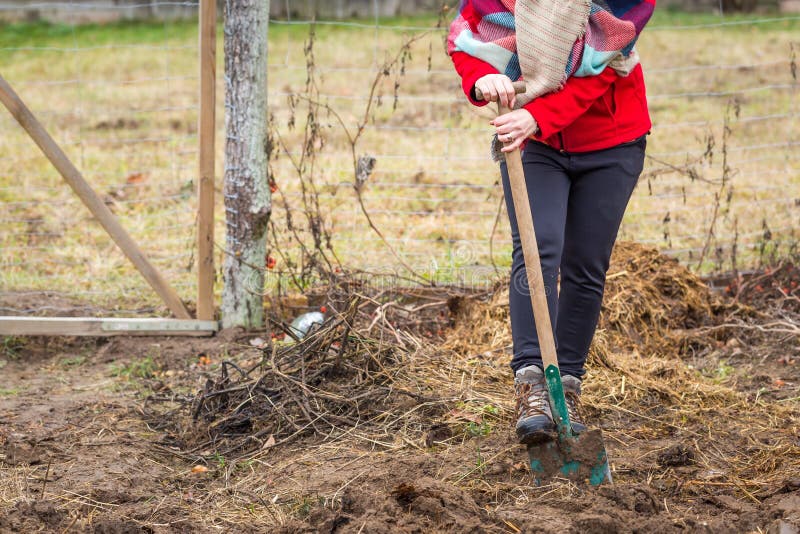 Woman digging stock image. Image of active, rubber, digging - 28010165