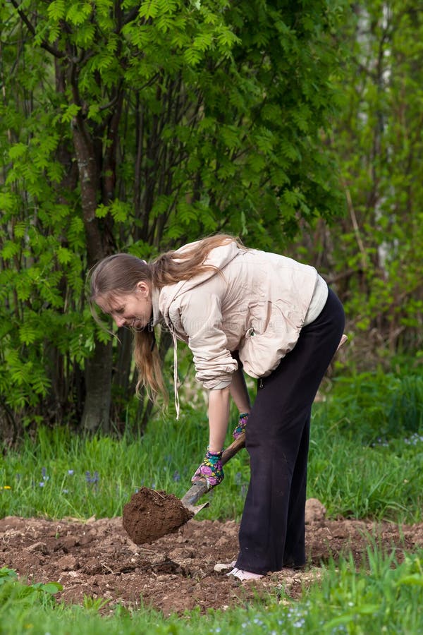 Woman digging in garden stock photo. Image of outdoors - 21590818