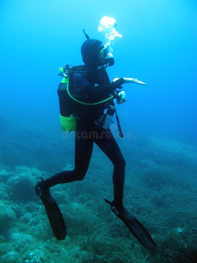 Woman diver stock photo. Image of activity, pressure, color - 8872936
