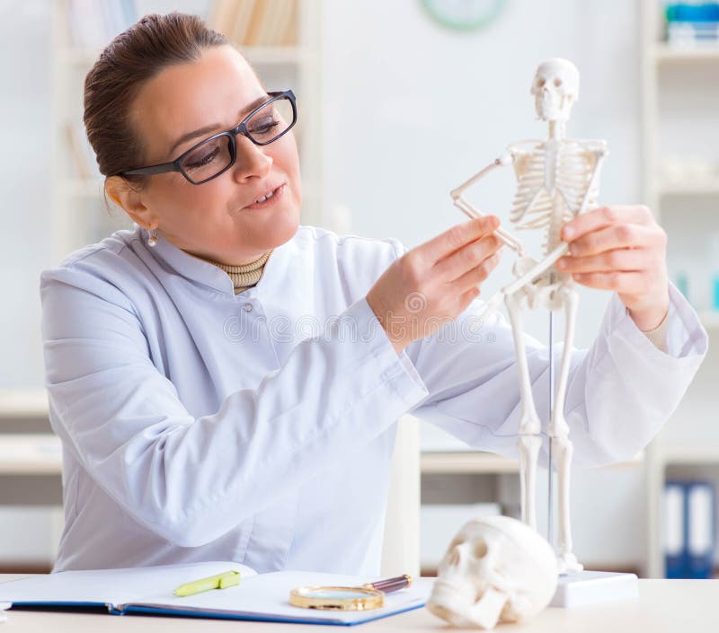 Woman Doctor Studying Human Skeleton Stock Image - Image of medicine ...