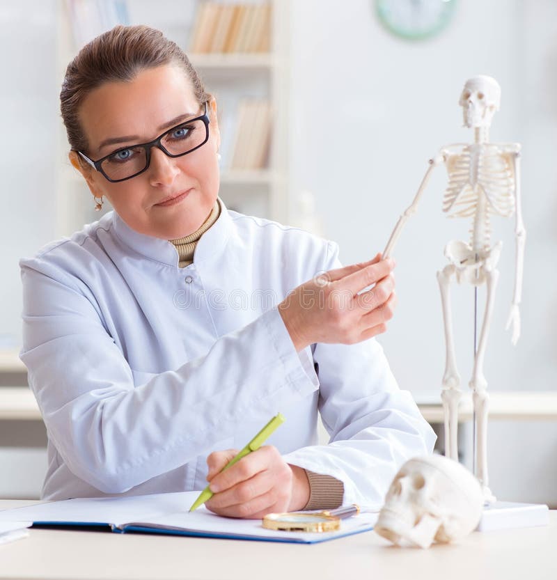 Woman Doctor Studying Human Skeleton Stock Image - Image of doctor ...