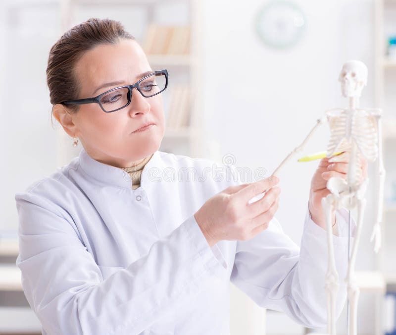 Woman Doctor Studying Human Skeleton Stock Photo - Image of anatomy ...