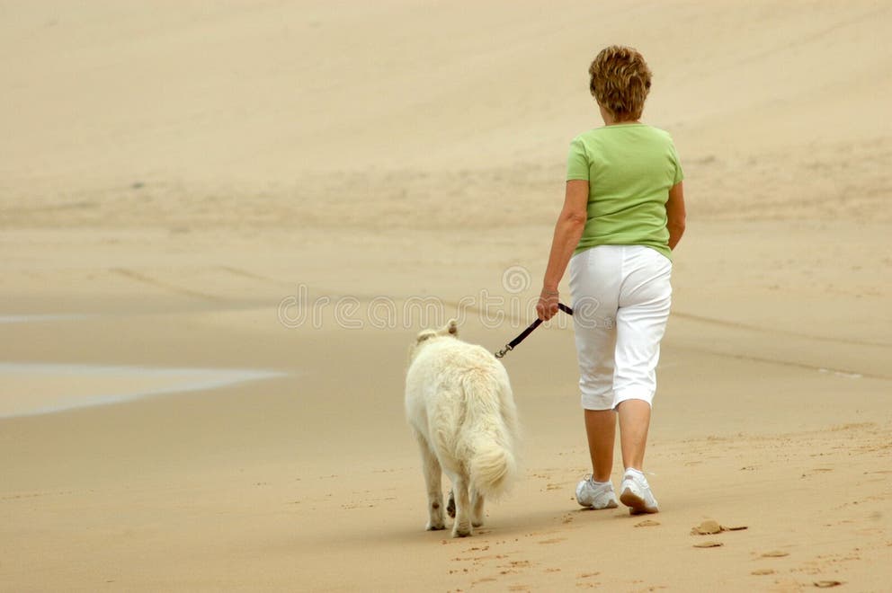 Woman with dog stock photo. Image of friends, friendship - 1743690
