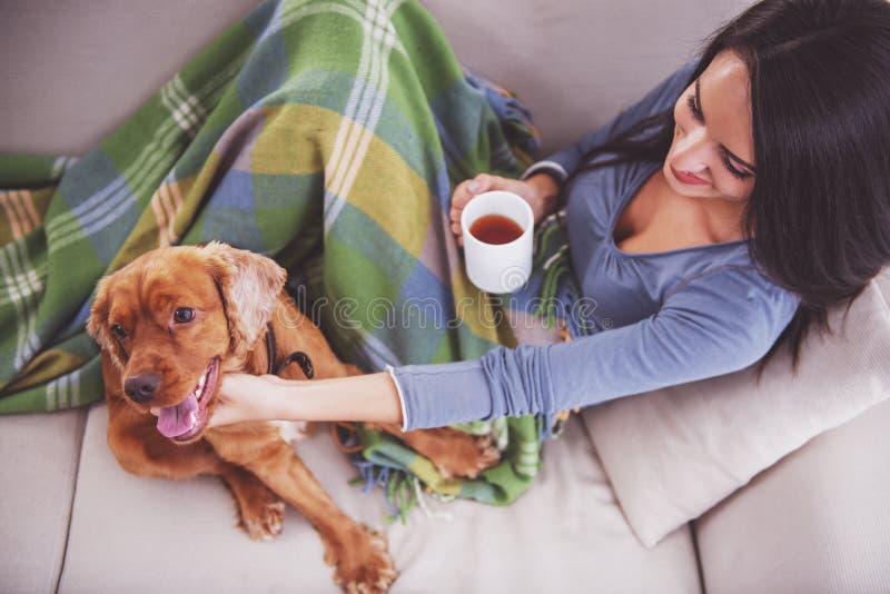 Woman with dog stock photo. Image of lifestyle, animal - 237080292