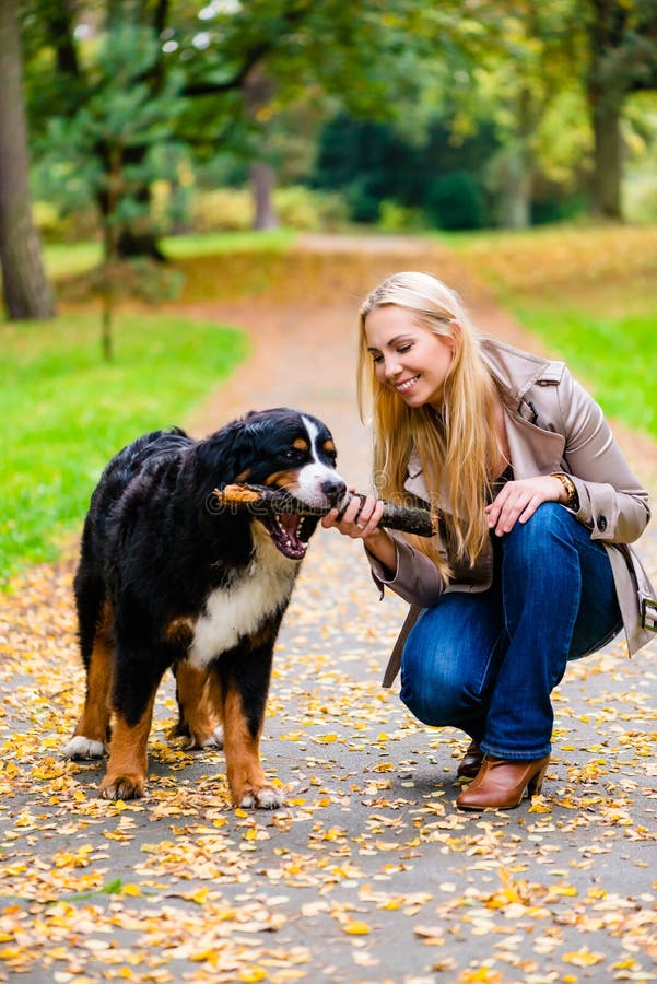Woman and Dog at Retrieving Stick Game Stock Photo - Image of fall ...