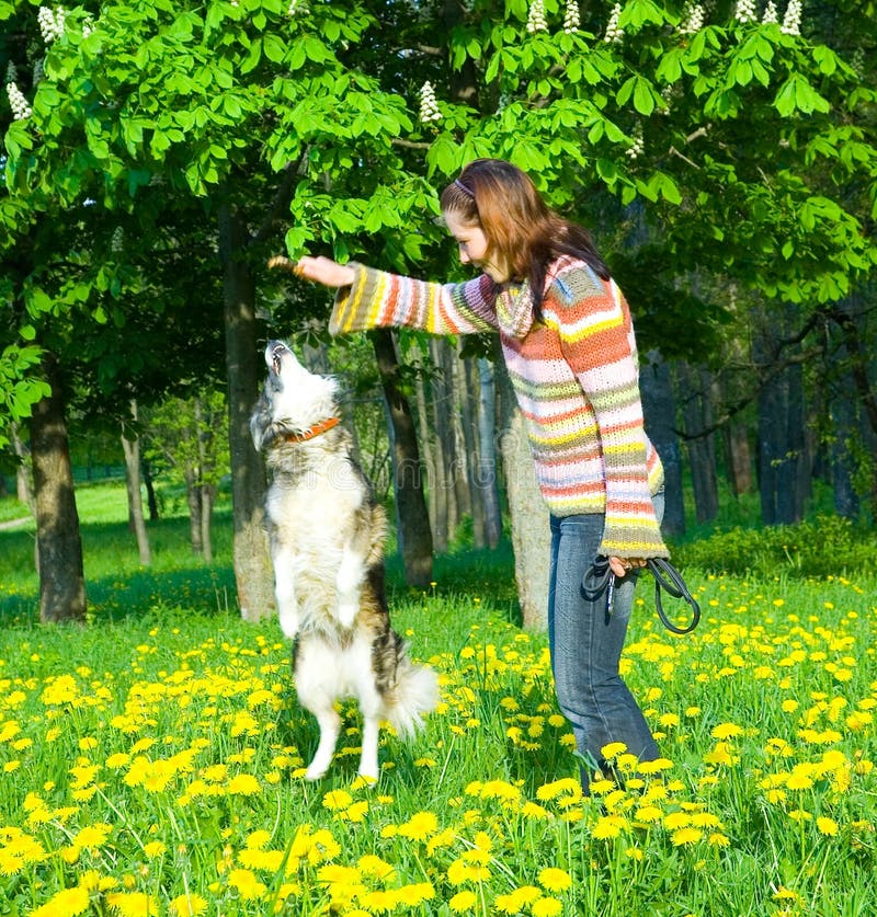 Woman is dog training stock image. Image of cheerful - 24784135