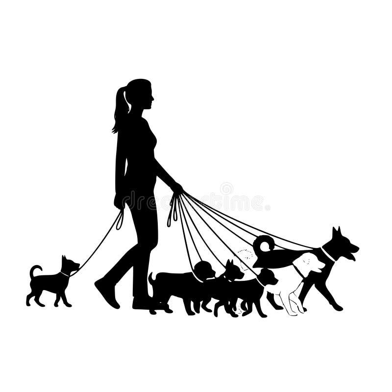 Woman Dog Walker Walking with Group of Pets Stock Vector - Illustration ...