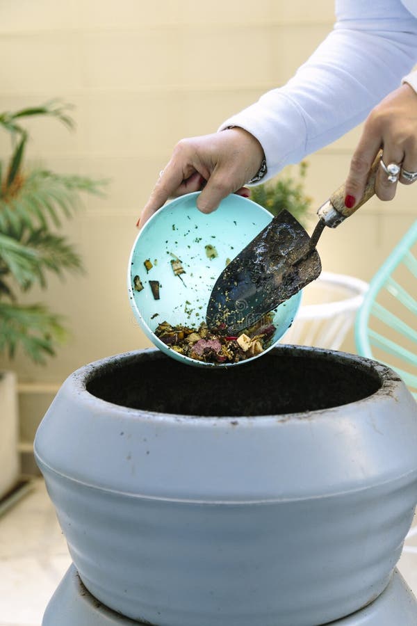 Woman Doing Compost in the Backyard of His House. Stock Photo - Image ...