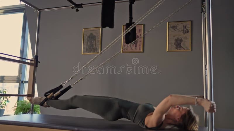 Performing Dolphin and Trainer Editorial Photo - Image of bottlenosed ...