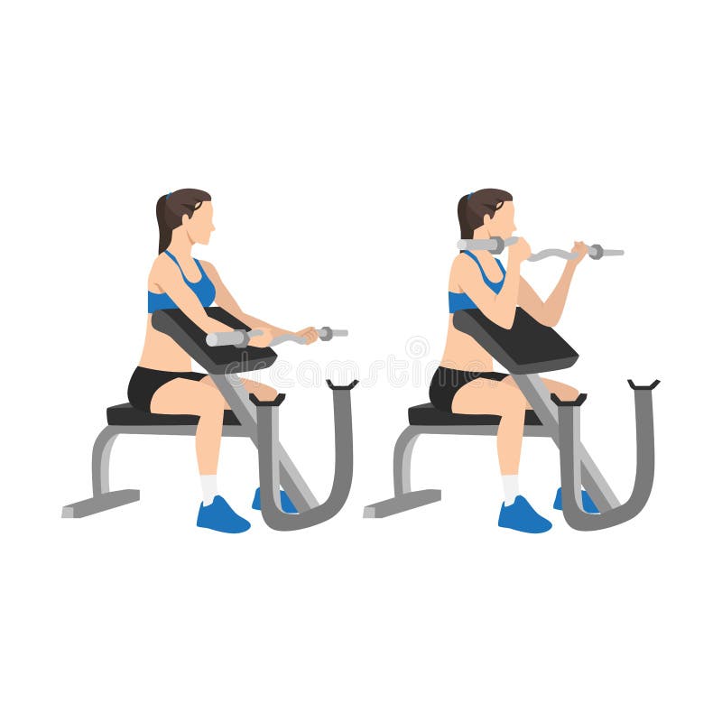 Bicep Curls Stock Illustrations – 55 Bicep Curls Stock Illustrations ...