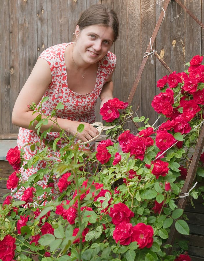 Woman Doing Garden Work Cutting the Roses Stock Image - Image of botany ...