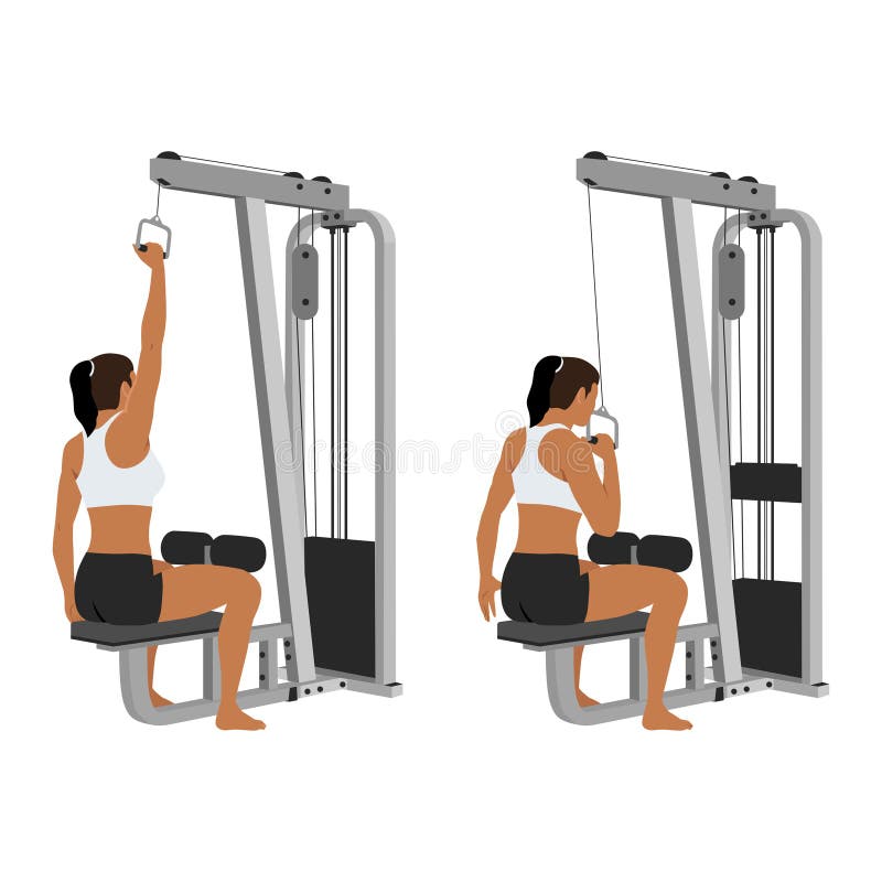 Lat Pull Stock Illustrations – 145 Lat Pull Stock Illustrations ...